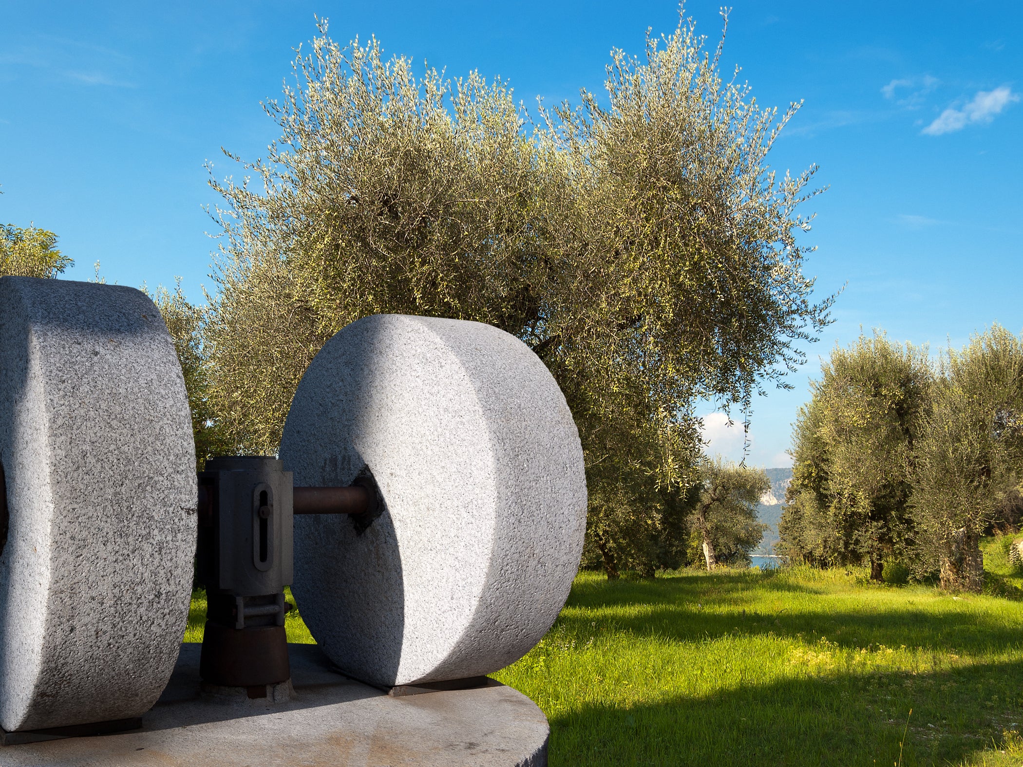 What Does 'Cold Pressed Olive Oil' Really Mean? Origins, Methods, Bene ...