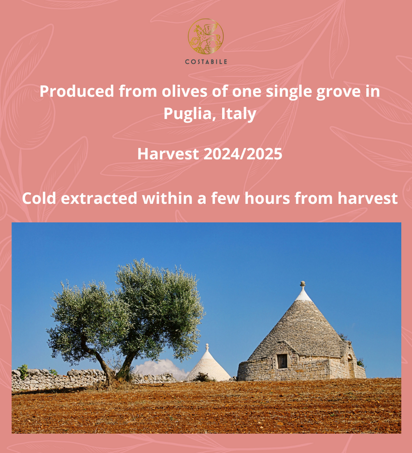 Chili Pepper Olive Oil - Hot Oil from Italy – Costabile Brand